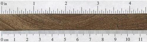 Teak - Canadian Woodworking